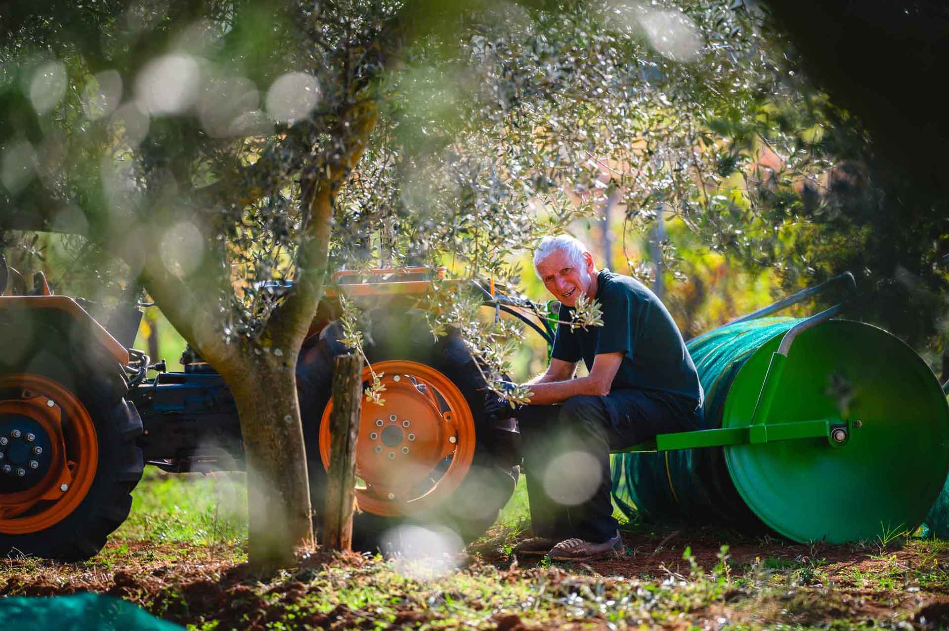 O nama - Arula ekstra djevičansko maslinovo ulje